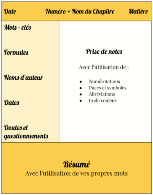 Les techniques de prise de notes efficaces pour vos cours